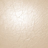 Leather Pictures | Free Photographs | Photos Public Domain - Part 3