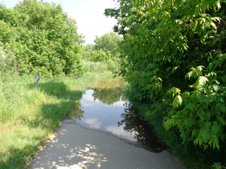 Flooded Path – Photos Public Domain