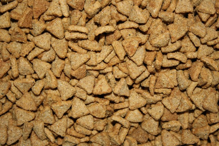 Dry Dog Food Texture – Photos Public Domain