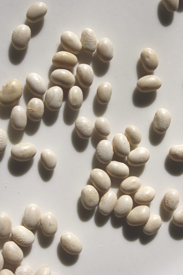 Beans Nuts and Seeds – Photos Public Domain