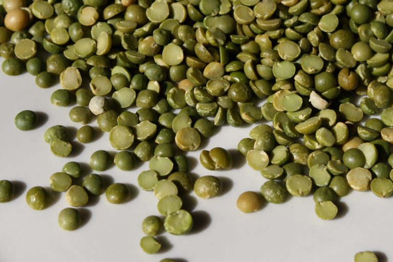 Beans Nuts and Seeds Pictures | Free Photographs | Photos Public Domain