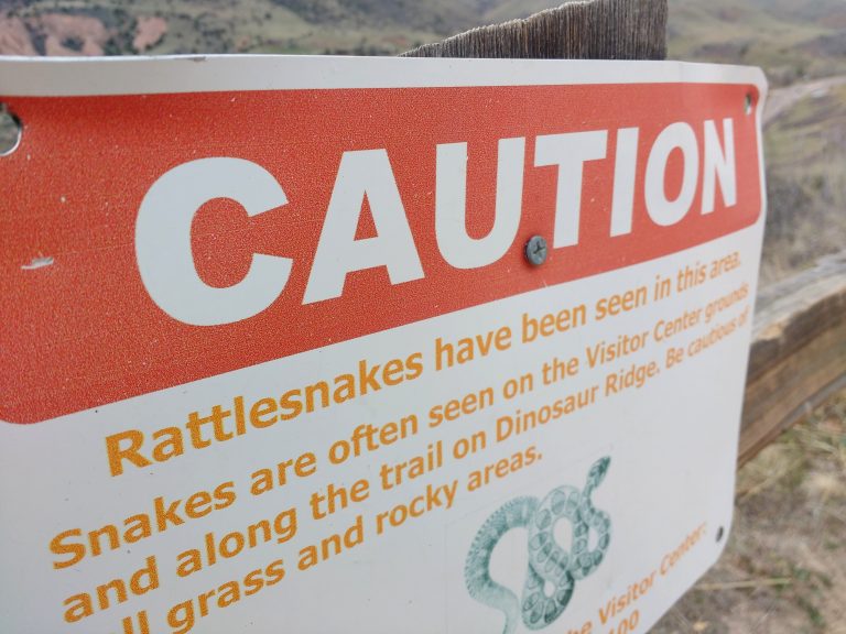 Caution Rattlesnakes Sign – Photos Public Domain