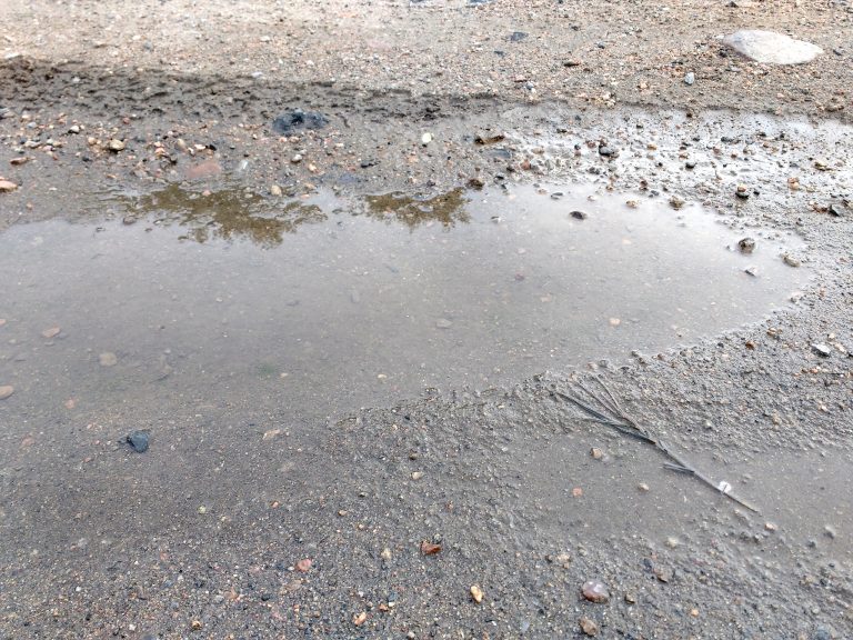 Mud Puddle – Photos Public Domain